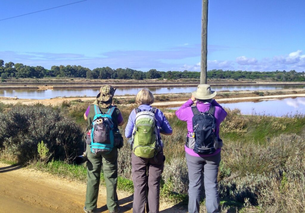 Birding Holiday in Tavira and the Ria Formosa - Your Nemesis Bird ...